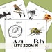 Nature Alphabet Flashcards ABC Flash Cards Nature Study Homeschool ...