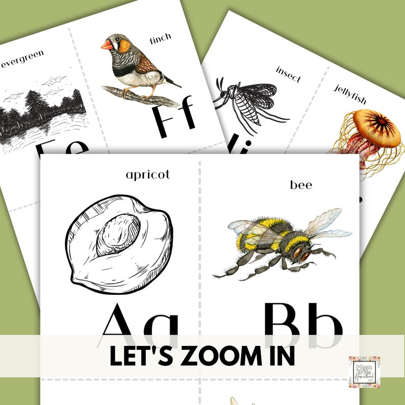 Nature Alphabet Flashcards | ABC Flash Cards | Nature Study ...