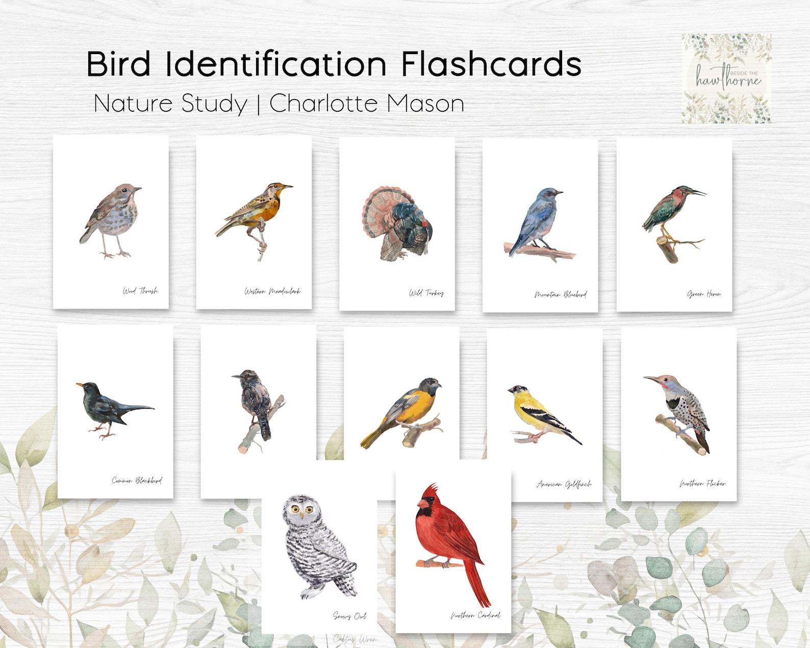 Bird Identification Flashcards, Nature Study Flash Cards, Nature ...