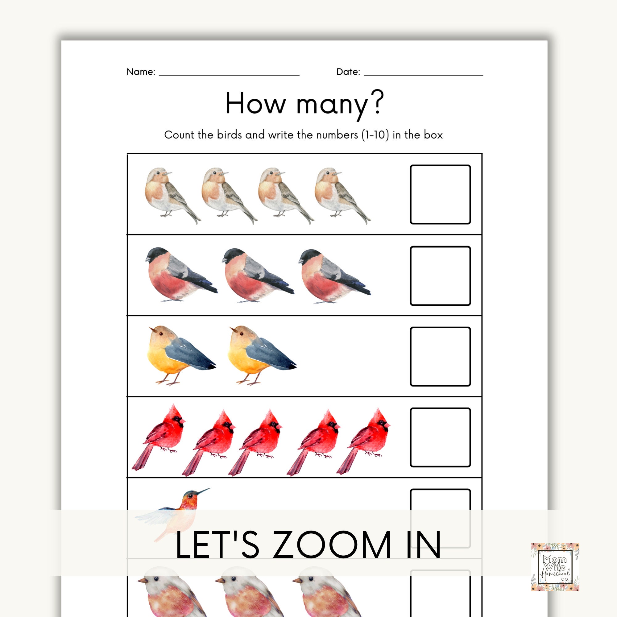 Nature Counting Worksheets: Preschool Math Skills & How Many Printables ...