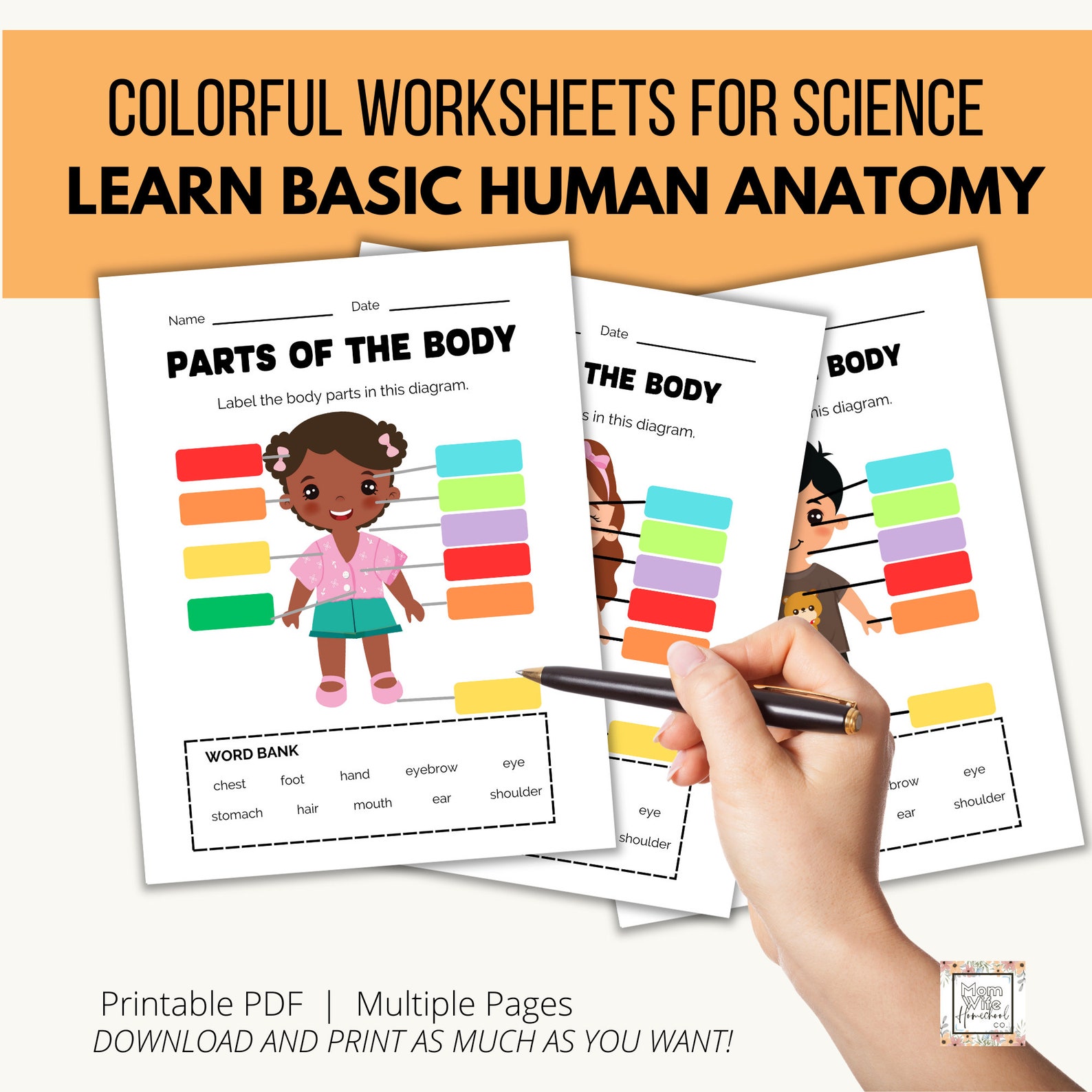 Parts of the Body for Kids | Human Anatomy Worksheets | Homeschool ...