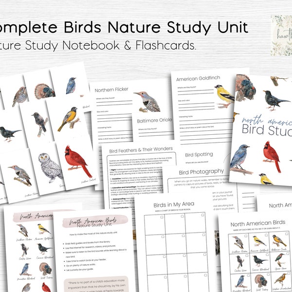 Unit Study Homeschool - Etsy