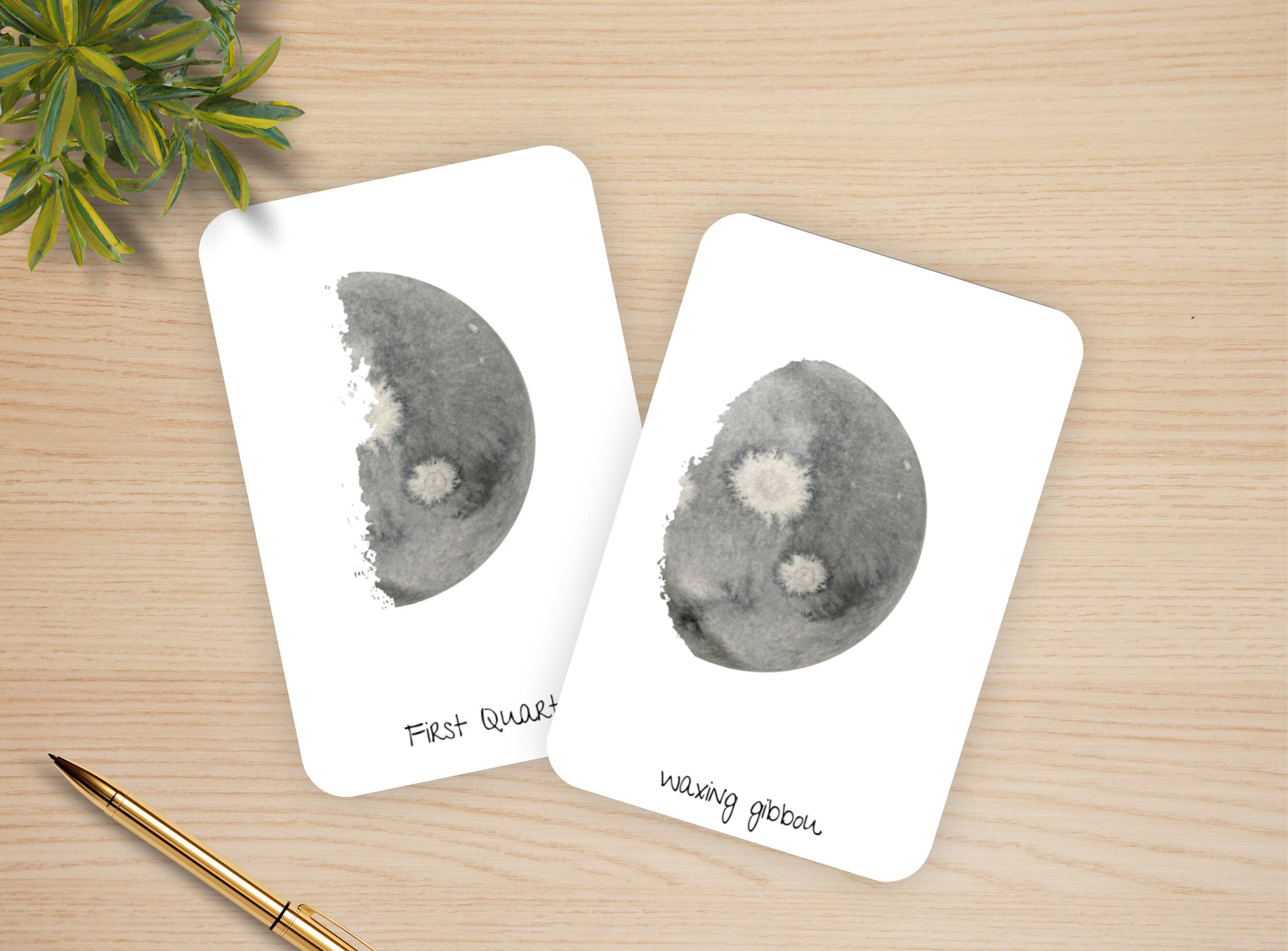 Moon Phase Cards, Lunar Phases Flash Cards, Homeschool Printables ...