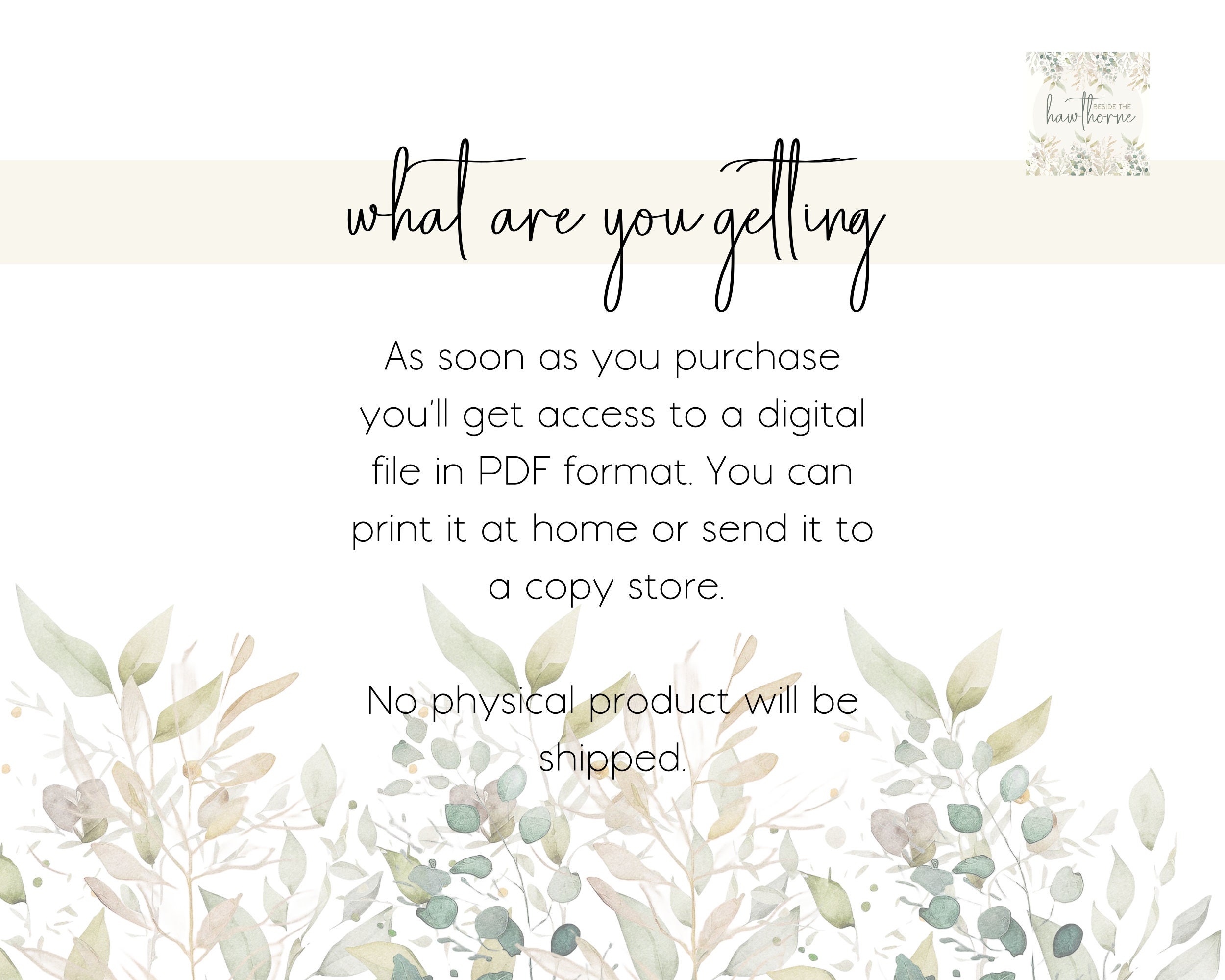 Days of Creation Flashcards, Creation Days Flash Cards, Sunday School ...