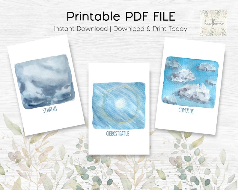 Cloud Identification Flashcards, Clouds Flash Cards, Science and Nature ...