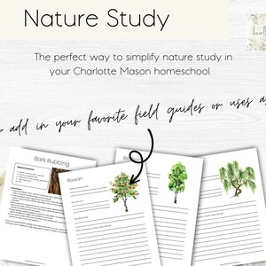 Trees & Leaves Nature Study Unit, Unit Study, Homeschool Curriculum ...