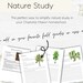 Trees & Leaves Nature Study Unit, Unit Study, Homeschool Curriculum ...