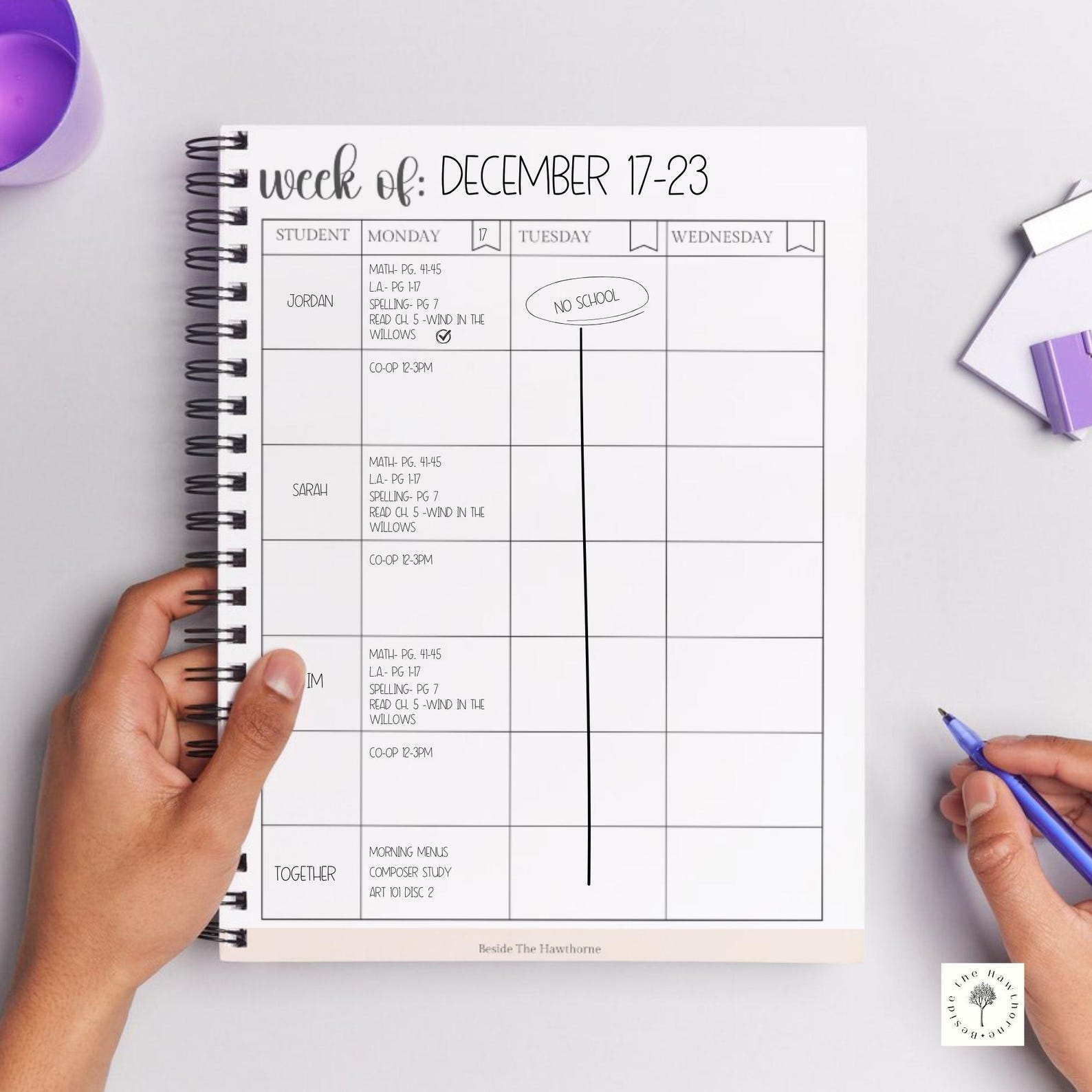 Homeschool Planner for Multiple Kids - Daily Schedule & Lesson Plans ...