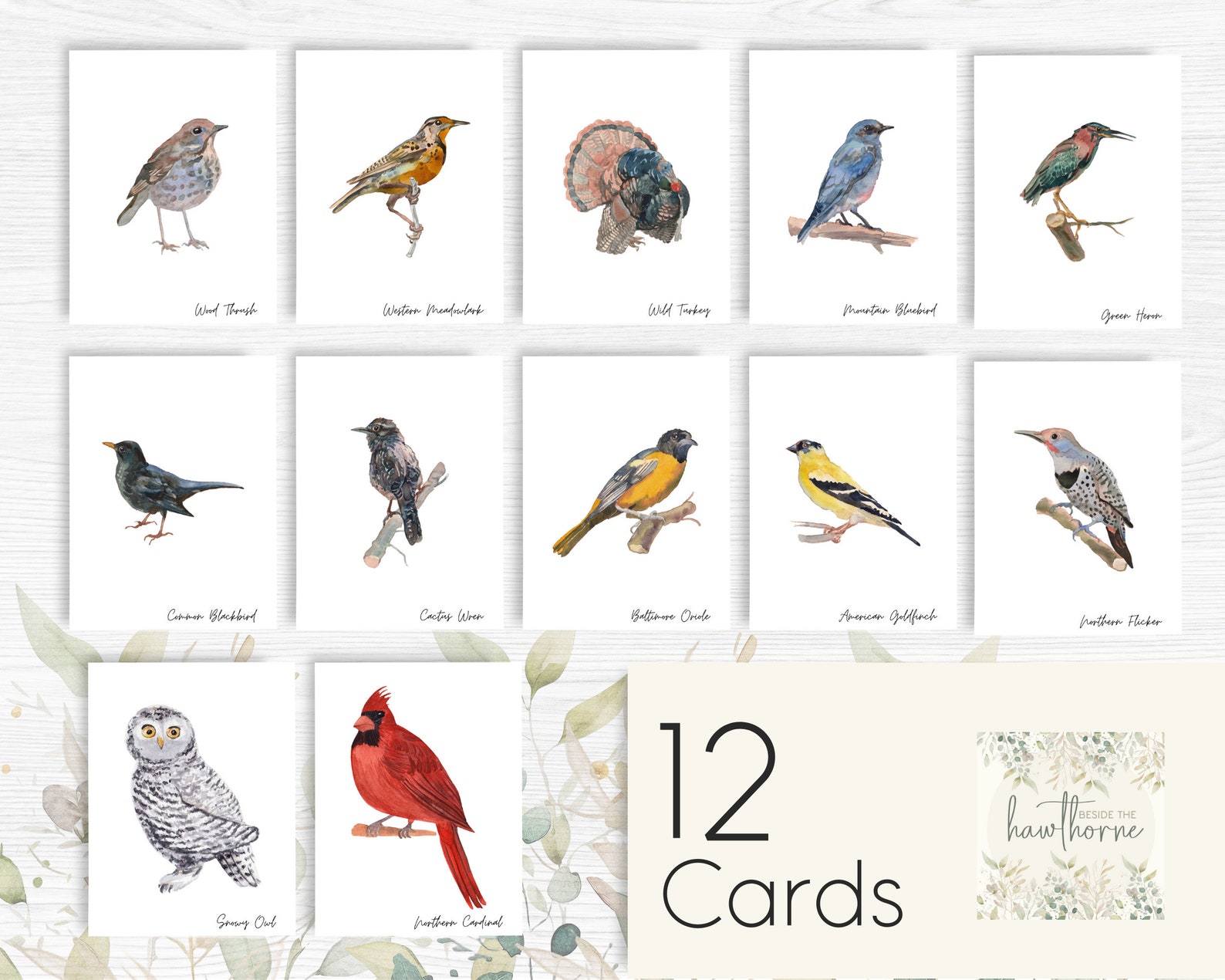 Bird Identification Flashcards, Nature Study Flash Cards, Nature ...