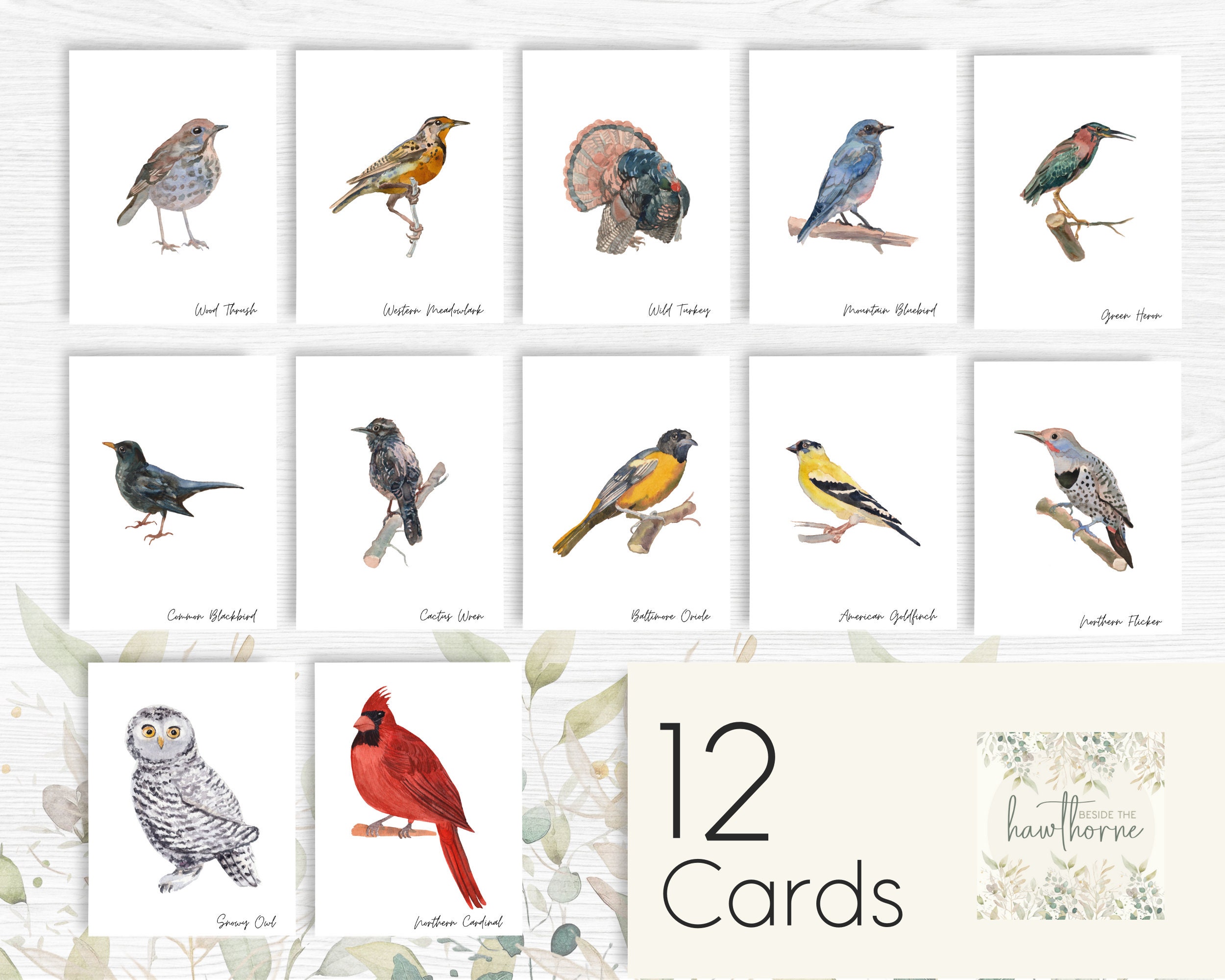 Bird Identification Flashcards, Nature Study Flash Cards, Nature ...