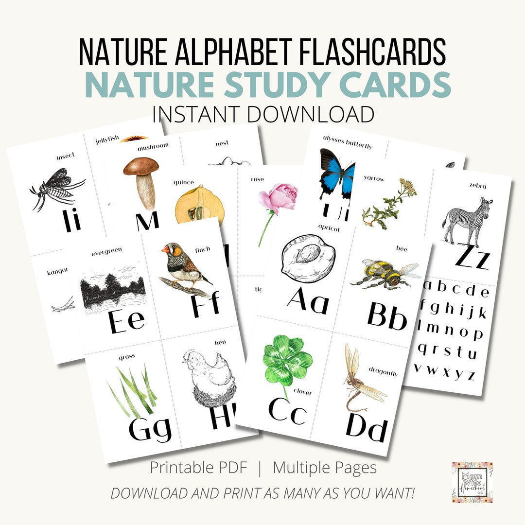 Nature Alphabet Flashcards ABC Flash Cards Nature Study - Etsy