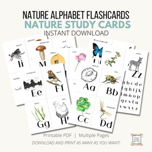 Nature Alphabet Flashcards | ABC Flash Cards | Nature Study ...