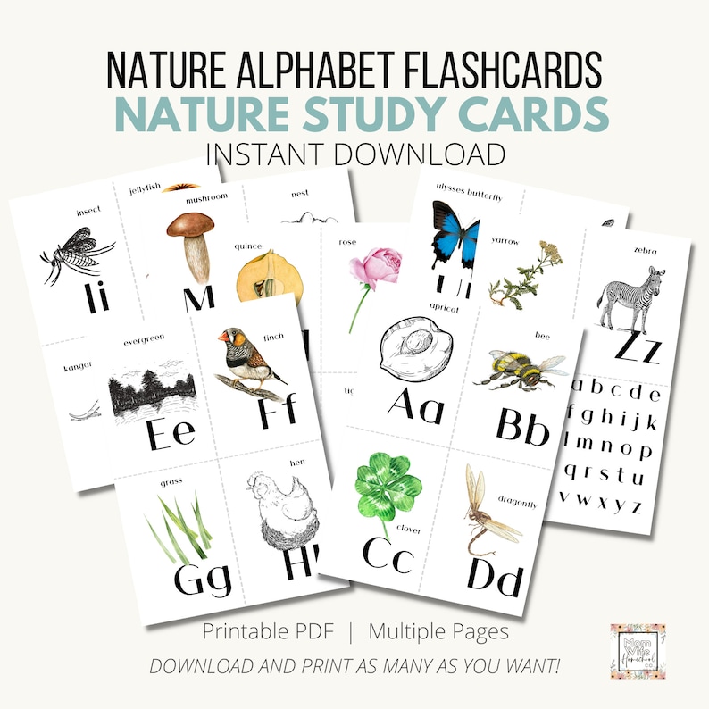 Nature Alphabet Flashcards ABC Flash Cards Nature Study Homeschool ...