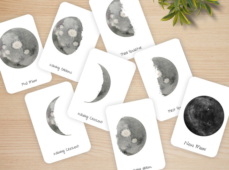 Moon Phase Cards, Lunar Phases Flash Cards, Homeschool Printables ...