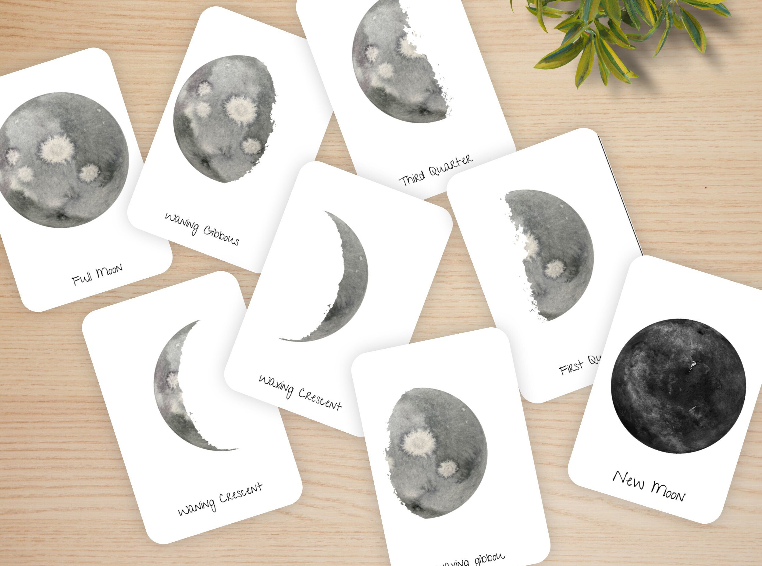 Moon Phase Cards, Lunar Phases Flash Cards, Homeschool Printables ...