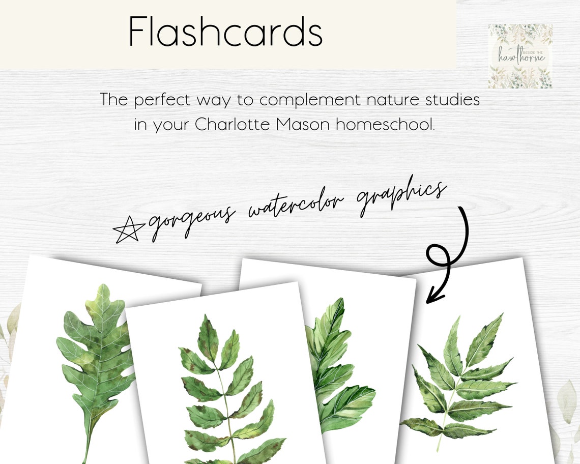 Leaf Identification Flashcards, Nature Study Flash Cards, Nature ...
