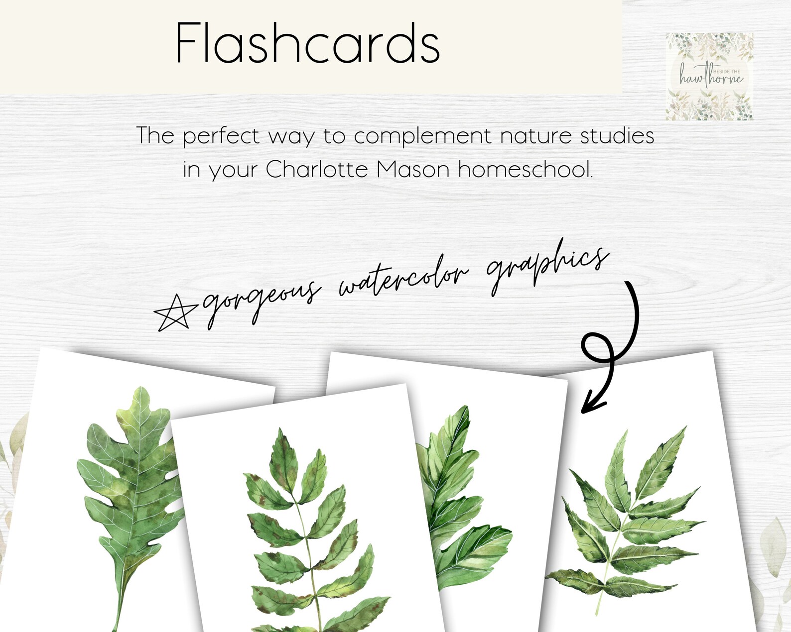 Leaf Identification Flashcards, Nature Study Flash Cards, Nature ...