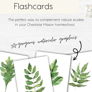 Leaf Identification Flashcards, Nature Study Flash Cards, Nature ...
