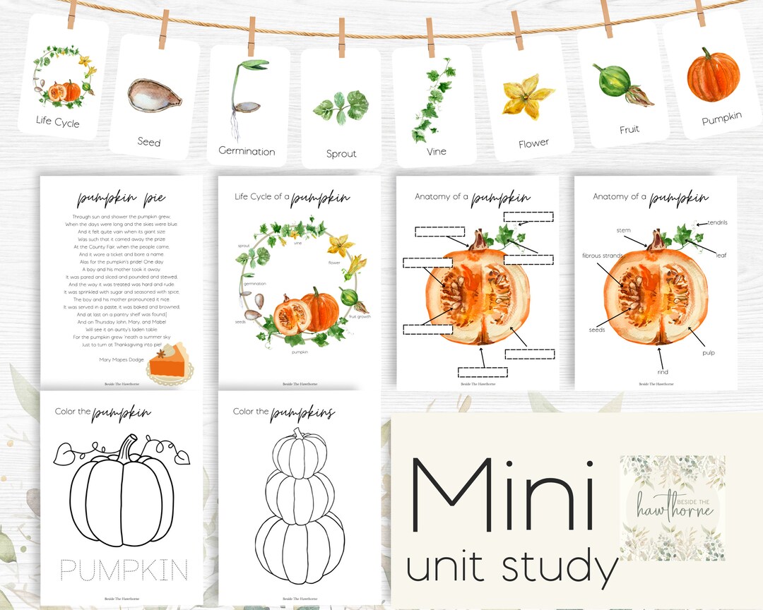 Pumpkin Mini Unit, Instant Download | Pumpkin Anatomy | Nature Study ...