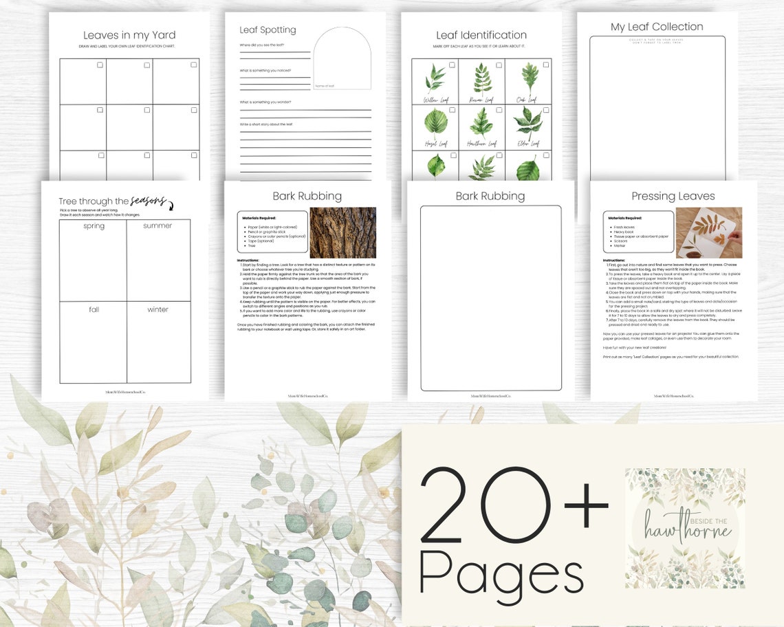 Trees & Leaves Nature Study Unit, Unit Study, Homeschool Curriculum ...