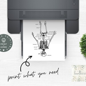 Human Anatomy Worksheets | Homeschool Science | Coloring Book ...