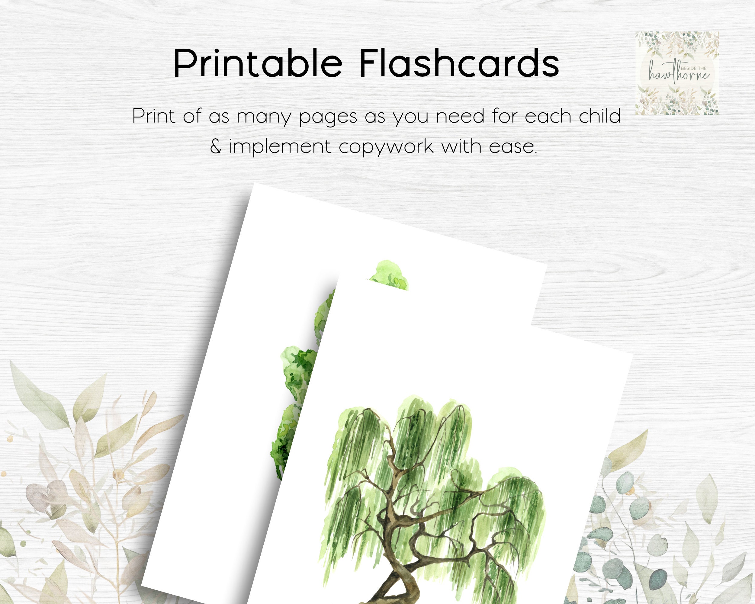 Tree Identification Flashcards, Nature Study Flash Cards, Nature ...