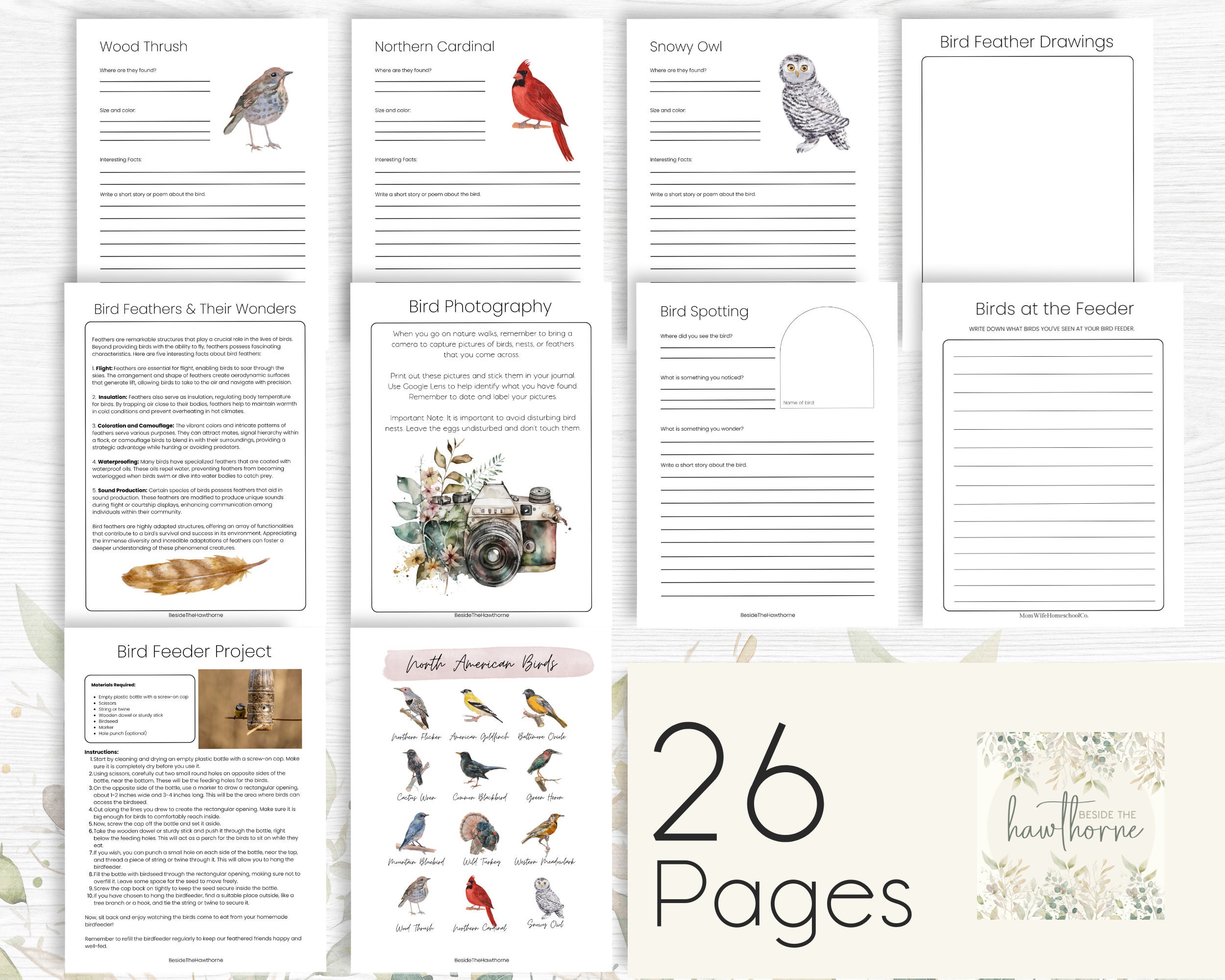 North American Birds Nature Study Unit & Flashcards Bundle, Unit Study ...