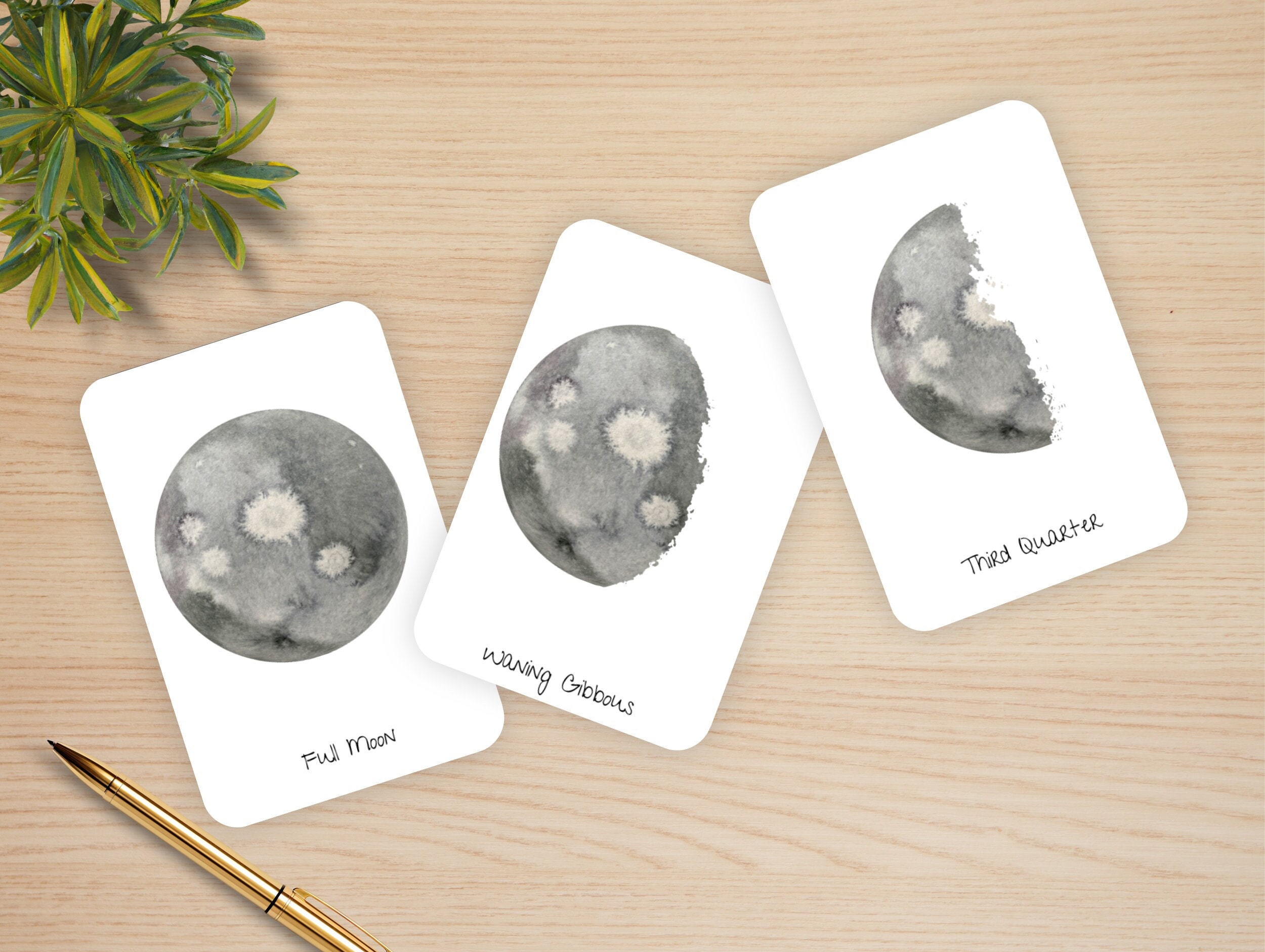 Moon Phase Cards, Lunar Phases Flash Cards, Homeschool Printables ...