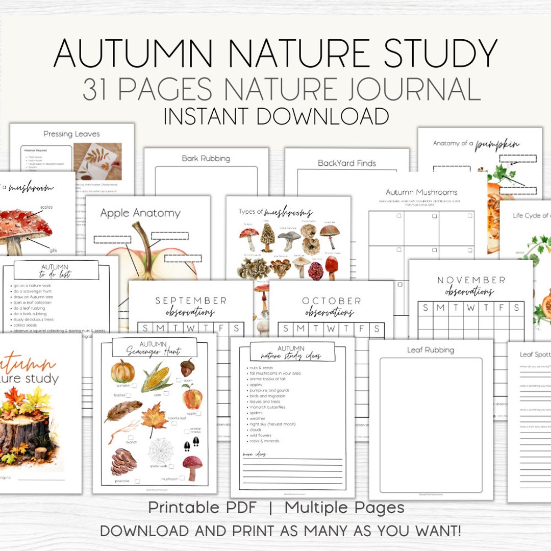 Fall Nature Study, Homeschool Printable, Life Cycle, Fall Activities ...