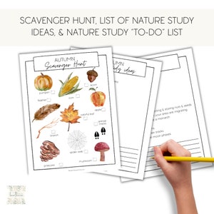 Fall Nature Study, Homeschool Printable, Life Cycle, Fall Activities ...