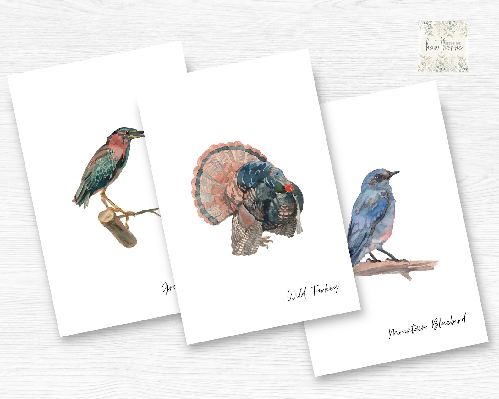 Bird Identification Flashcards, Nature Study Flash Cards, Nature ...