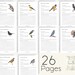 North American Birds Nature Study Unit, Unit Study, Homeschool ...