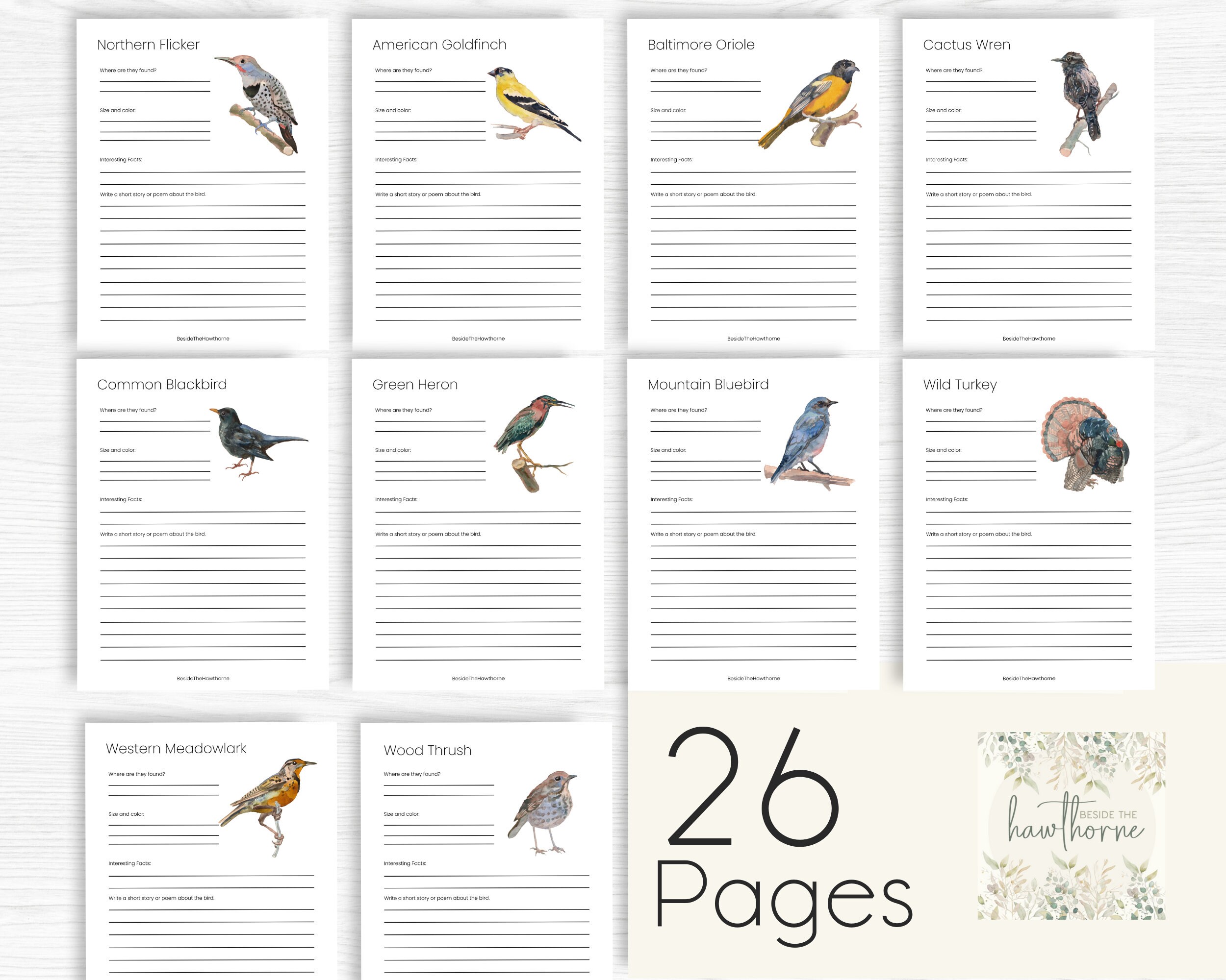 North American Birds Nature Study Unit, Unit Study, Homeschool ...