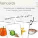 Pumpkin Life Cycle Flashcards, Nature Study Flash Cards, Nature ...
