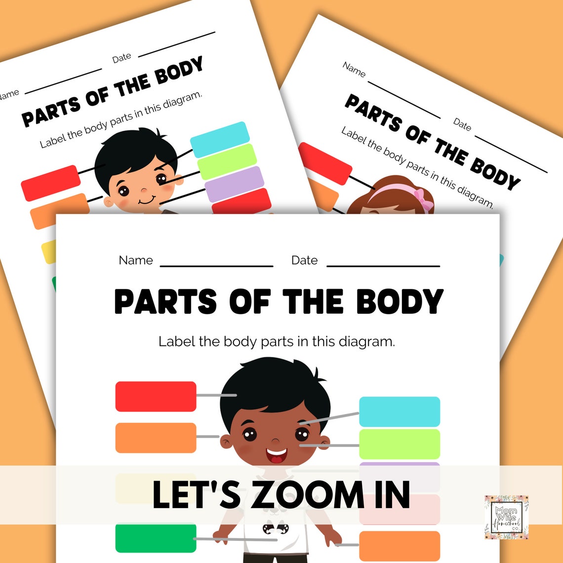 Parts of the Body for Kids Human Anatomy Worksheets Homeschool ...