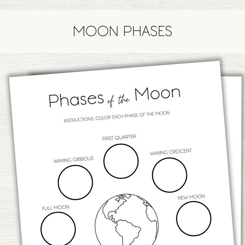 Fall Nature Study, Homeschool Printable, Life Cycle, Fall Activities ...