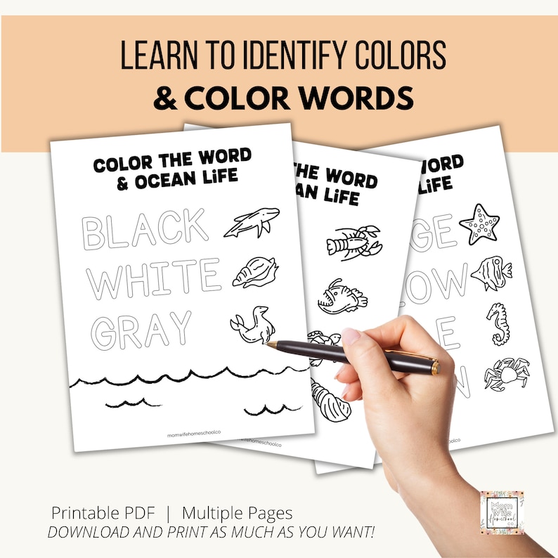 Ocean Preschool Packet | Ocean Animals Pre-k Worksheet Bundle ...