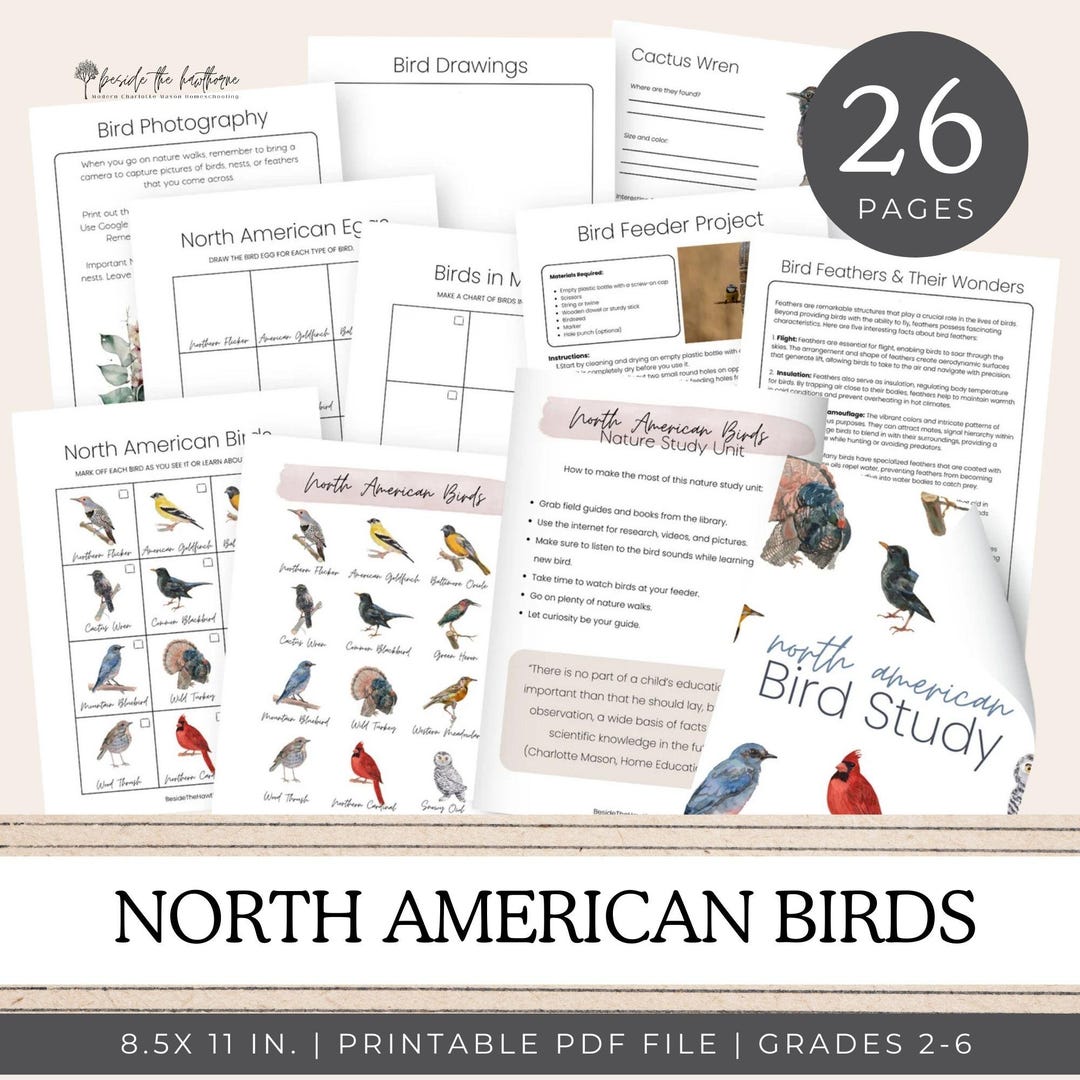 North American Birds Nature Study Unit, Unit Study, Homeschool ...