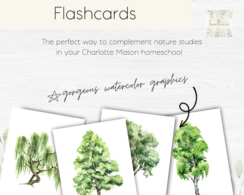Tree Identification Flashcards, Nature Study Flash Cards, Nature ...