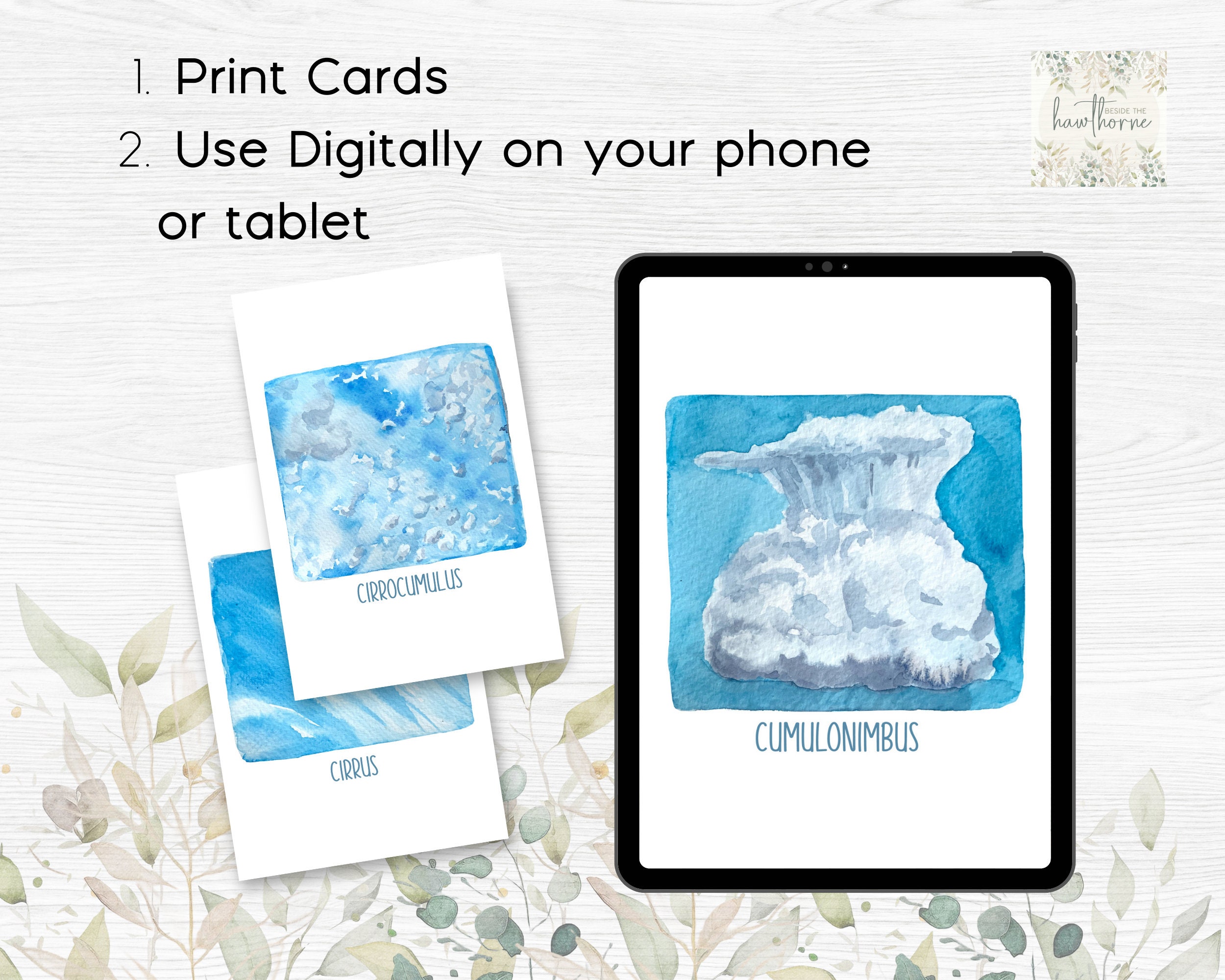 Cloud Identification Flashcards, Clouds Flash Cards, Science and Nature ...