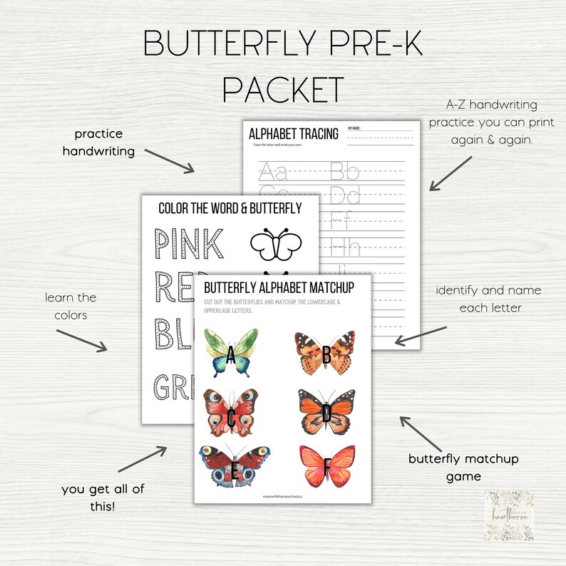 Butterfly Pre-k Packet Preschool Worksheets Printable Letters and ...