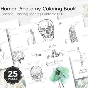 Human Anatomy Worksheets | Homeschool Science | Coloring Book ...