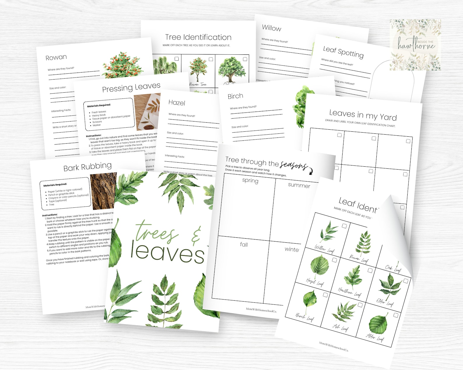 Trees & Leaves Nature Study Unit, Unit Study, Homeschool Curriculum ...