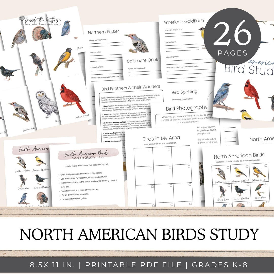 North American Birds Nature Study Unit & Flashcards Bundle, Unit Study ...
