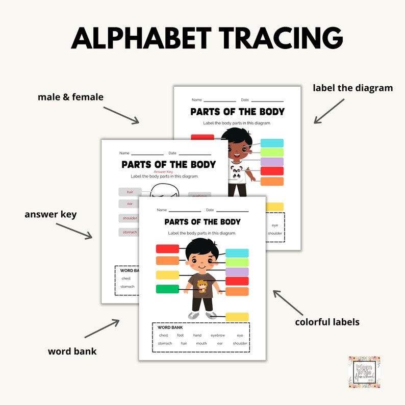 Parts of the Body for Kids | Human Anatomy Worksheets | Homeschool ...