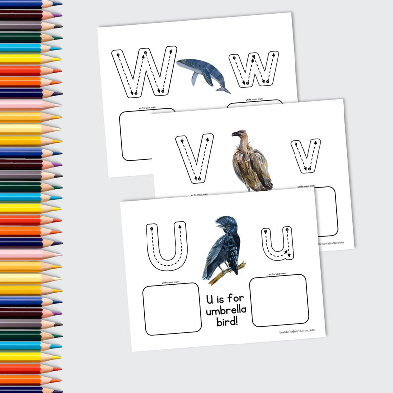 Nature Alphabet Tracing Handwriting Worksheets, Charlotte Mason ...