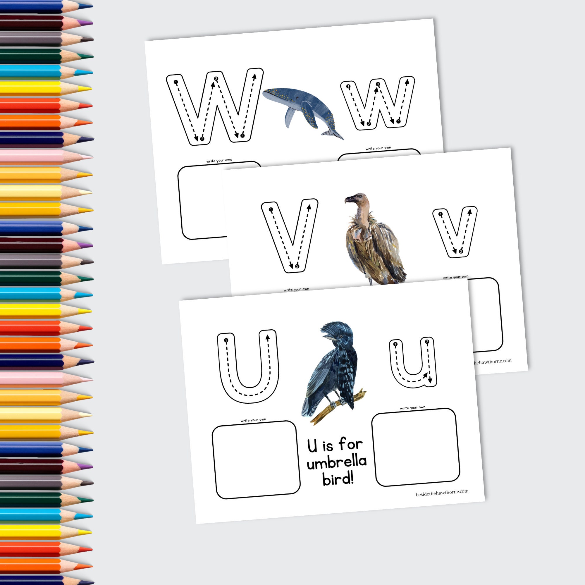 Nature Alphabet Tracing Handwriting Worksheets, Charlotte Mason ...