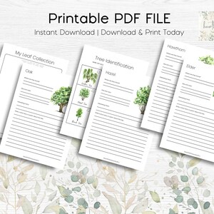 Trees & Leaves Nature Study Unit, Unit Study, Homeschool Curriculum ...