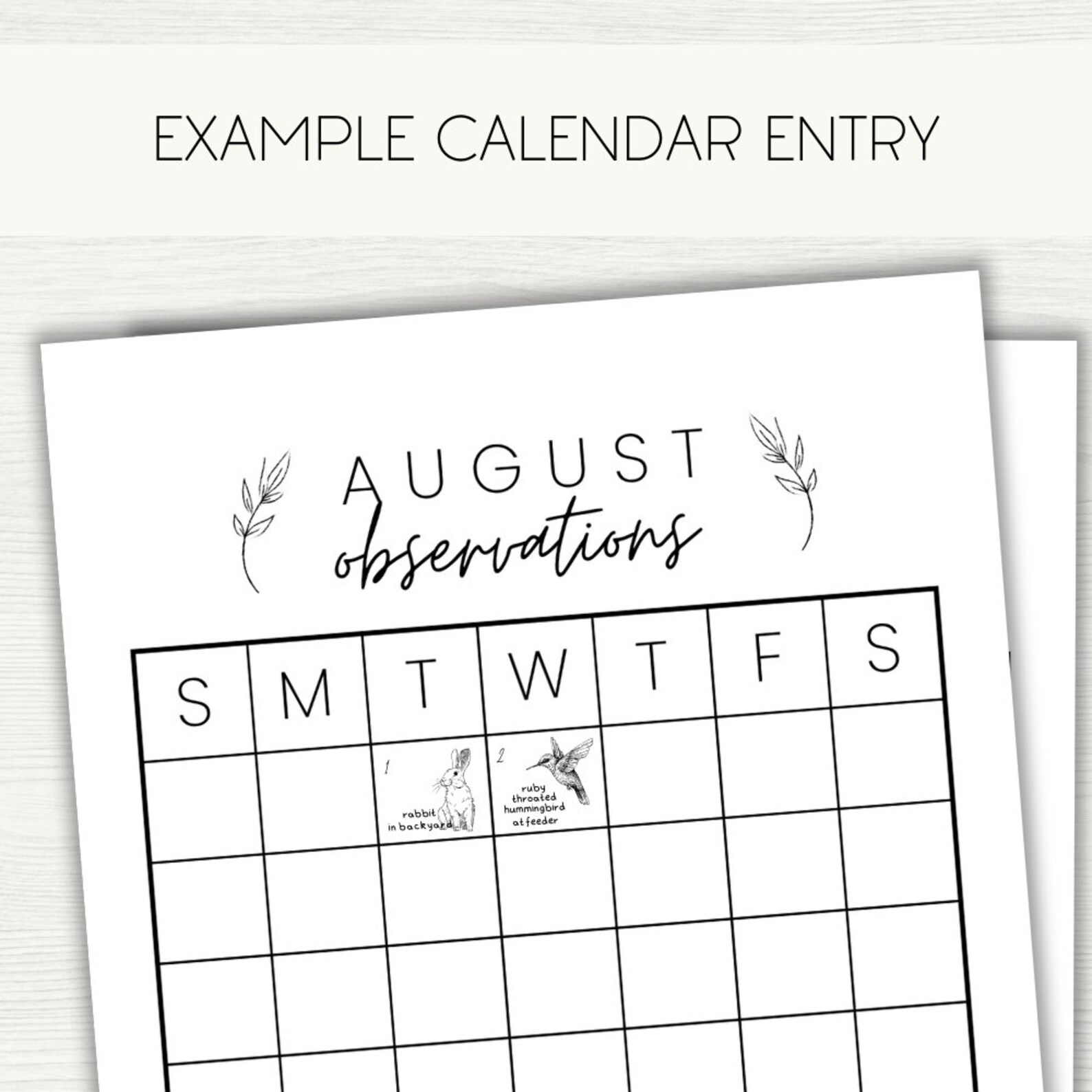 Charlotte Mason Observation Calendars, Nature Study, Charlotte Mason ...