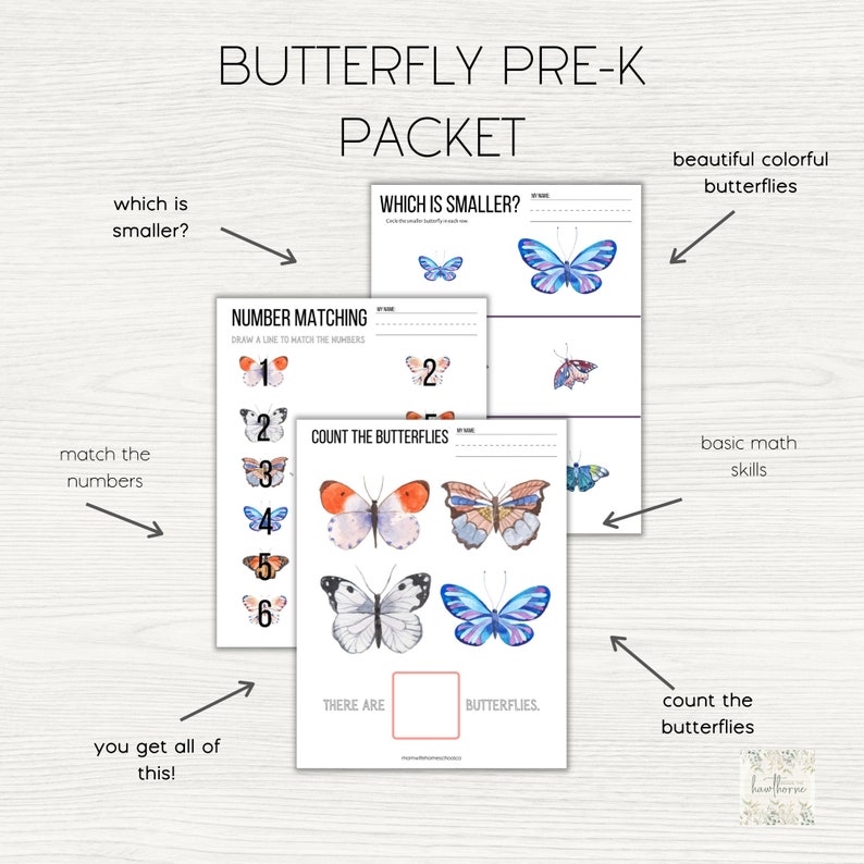Butterfly Pre-k Packet Preschool Worksheets Printable Letters and ...